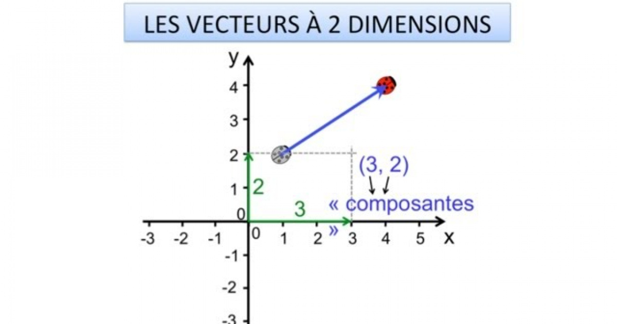 Les Vecteurs à Deux Dimensions Introduction Clipedia La Science Et Moi