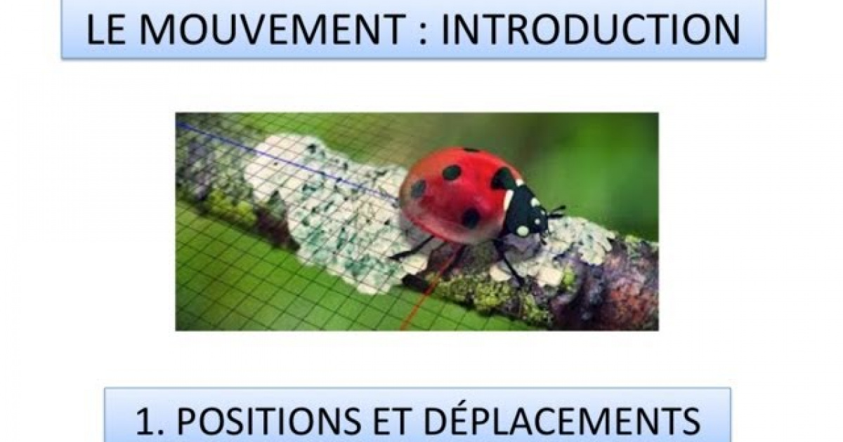 Le mouvement : position et déplacement – Clipedia - La science et moi