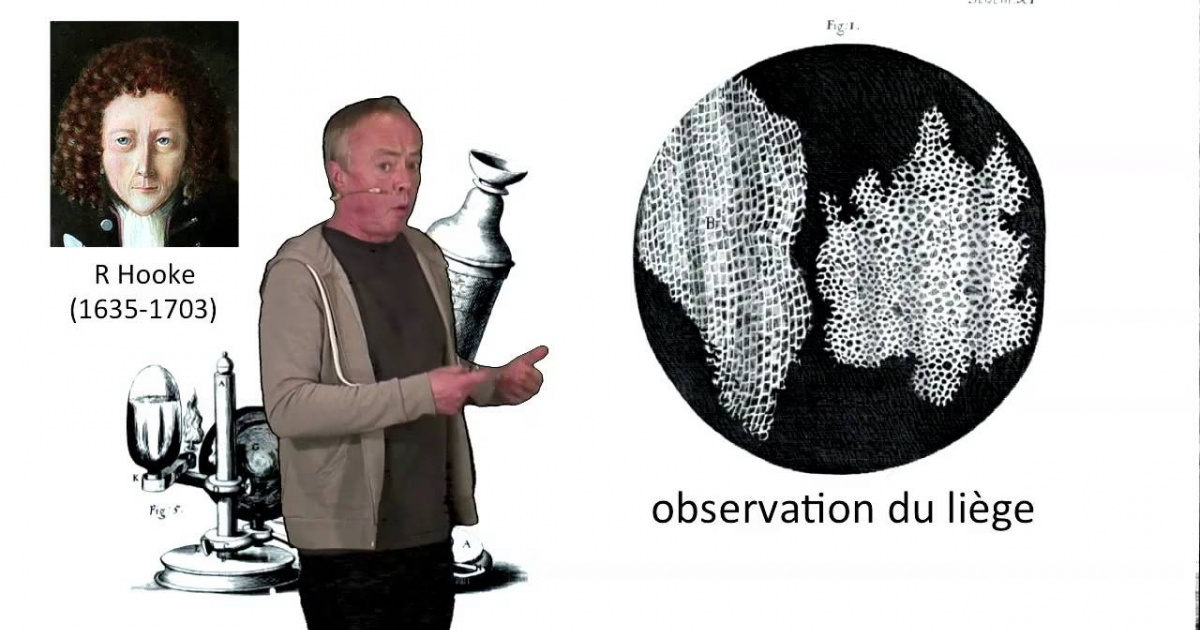 La cellule – Clipedia - La science et moi