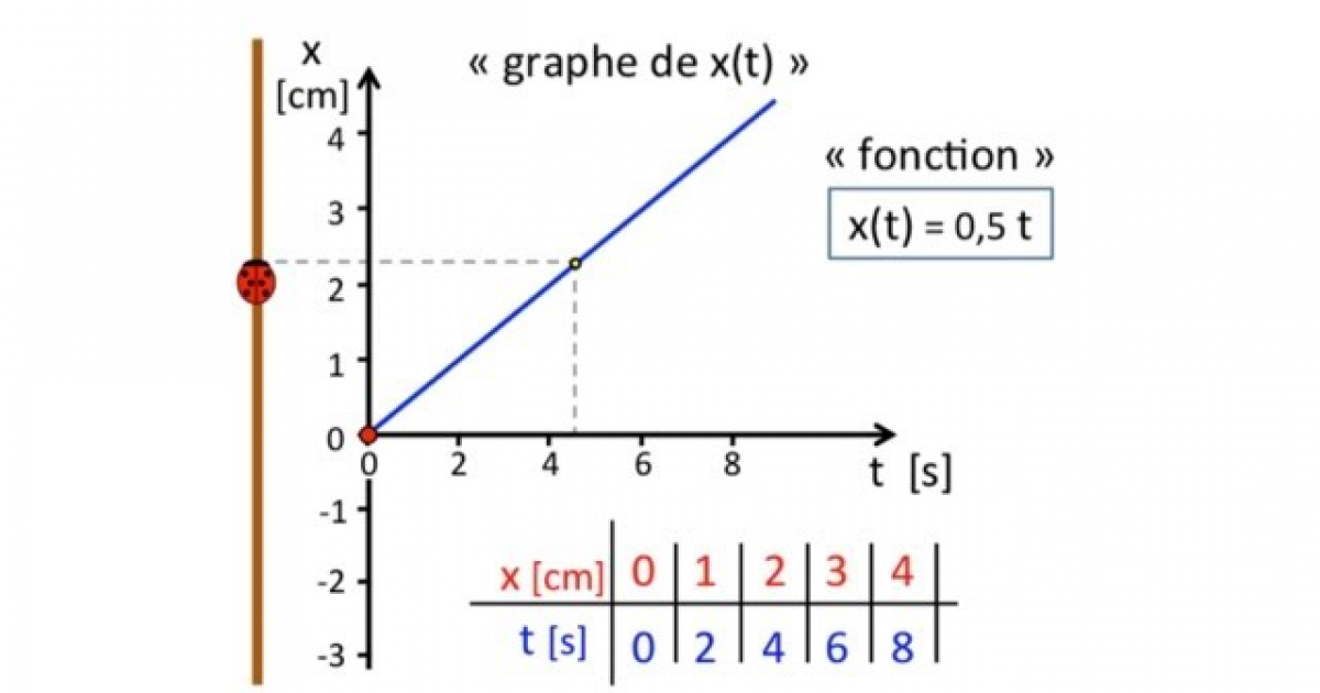 Le mouvement : fonction et graphe – Clipedia - La science et moi